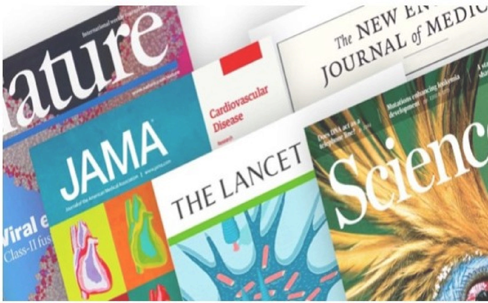 Scientific Editing of Manuscript for Publication